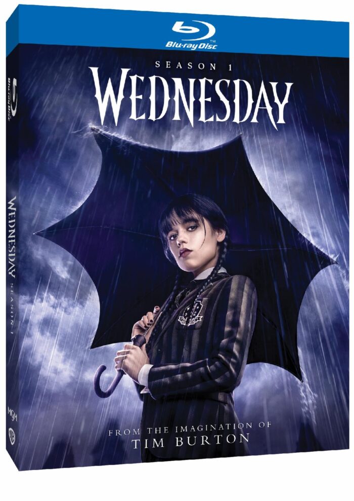 "Wednesday" The Extraordinary First Season Comes To DVD & Blu-ray ...